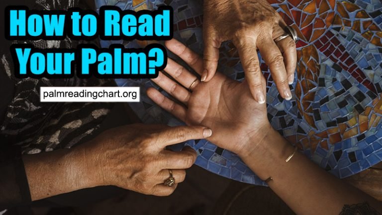 A Quick Guide to Palm Lines and What They Mean (Read NOW) - How to Read ...